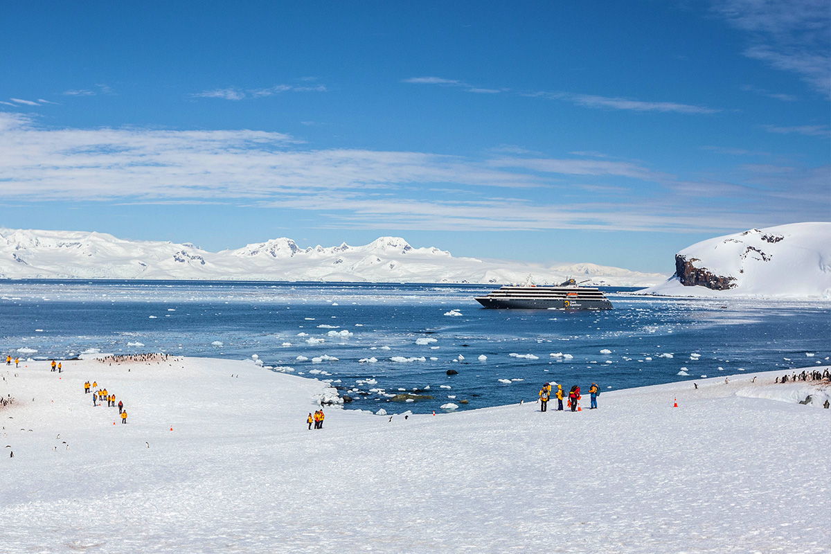 Cruzeiros Kangaroo Tours – Kangaroo Tours